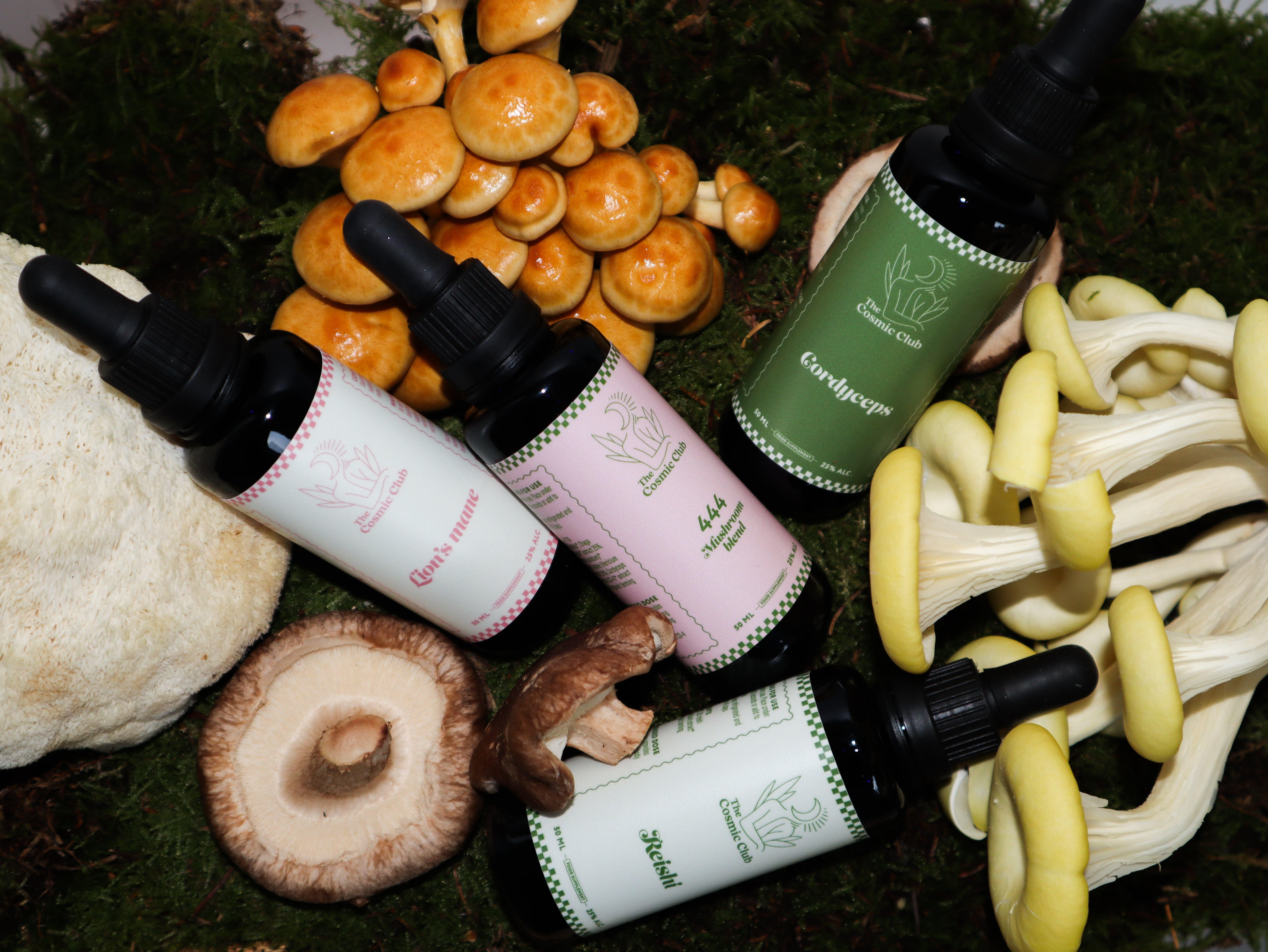 Medicinal mushroom pack – The Cosmic Club