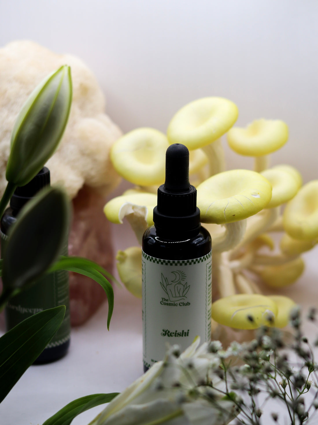 Your supplements, in chocolate form – The Cosmic Club