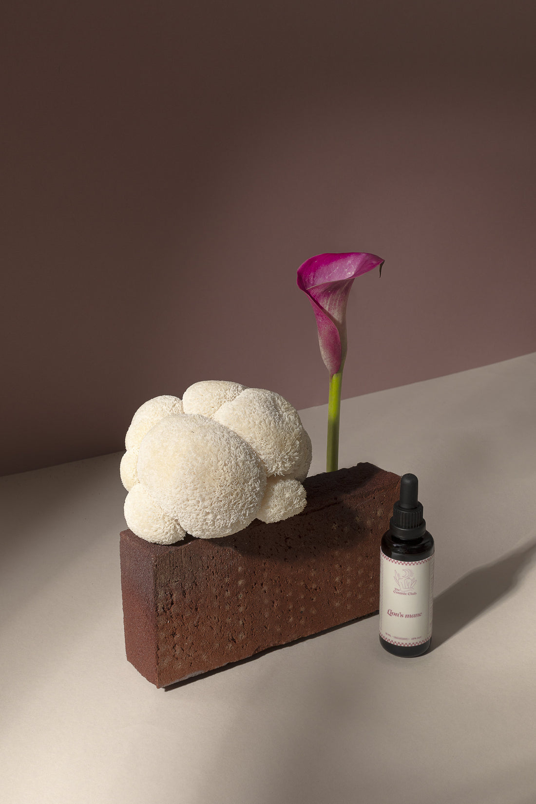 Your supplements, in chocolate form – The Cosmic Club